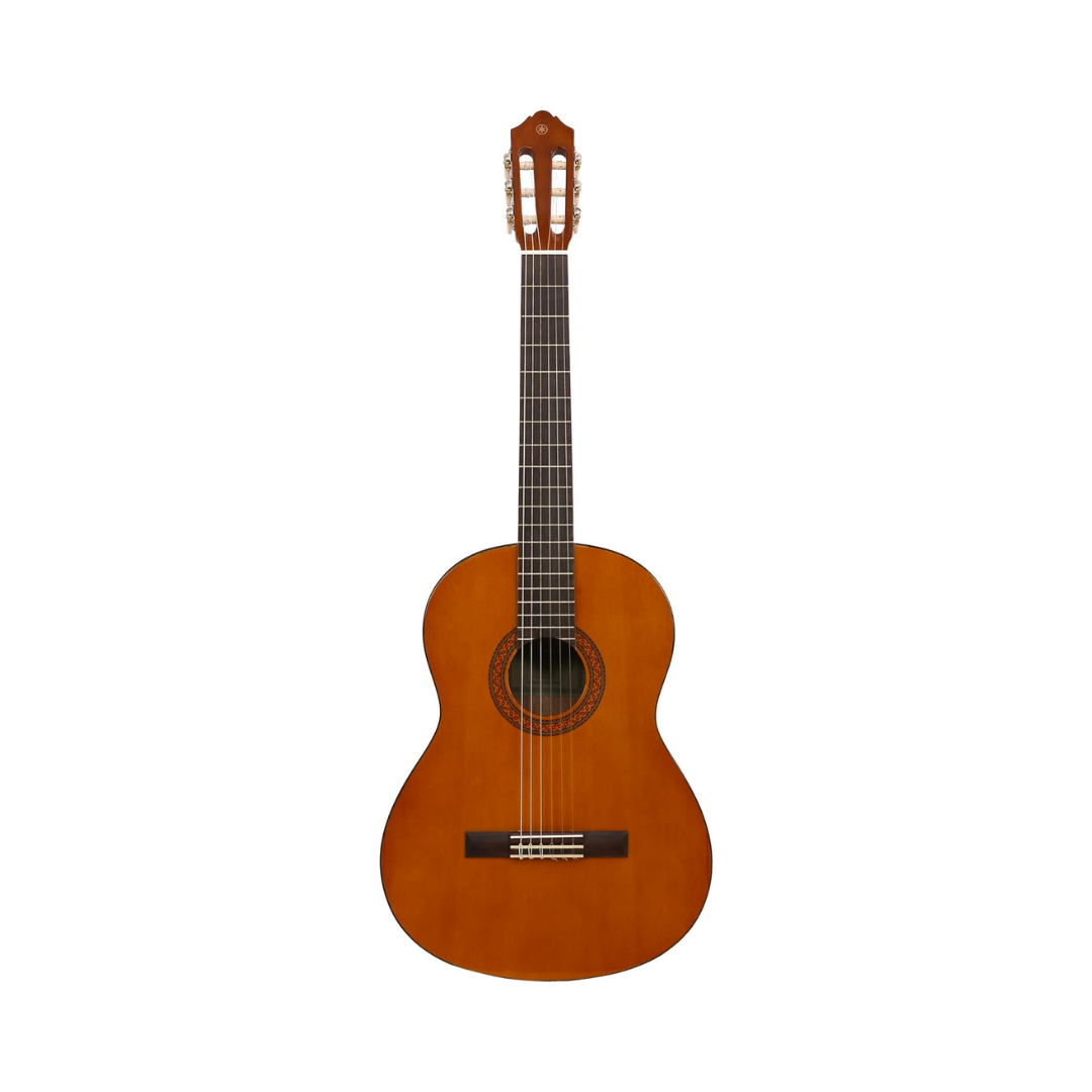 Chitarra Elettrica: La Guida per Chi Vuole Iniziare da Zero